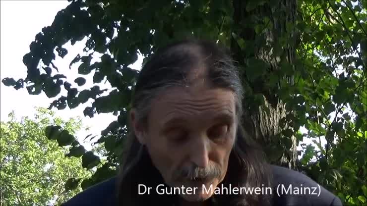 Mahlerwein (2)