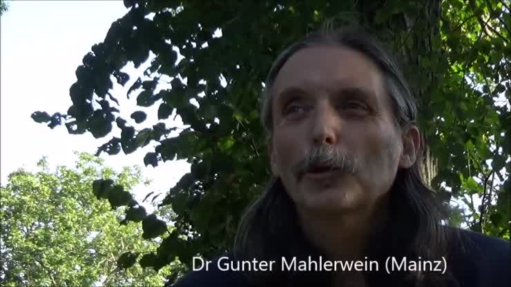 Mahlerwein (1)