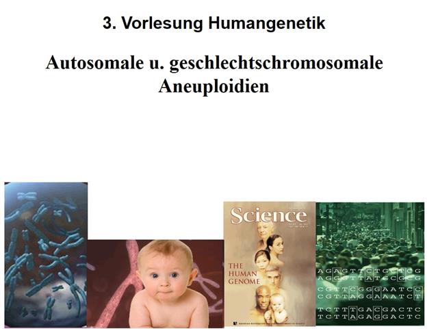 04.107.570 Humangenetik Hauptvorlesung Dr. Schweiger