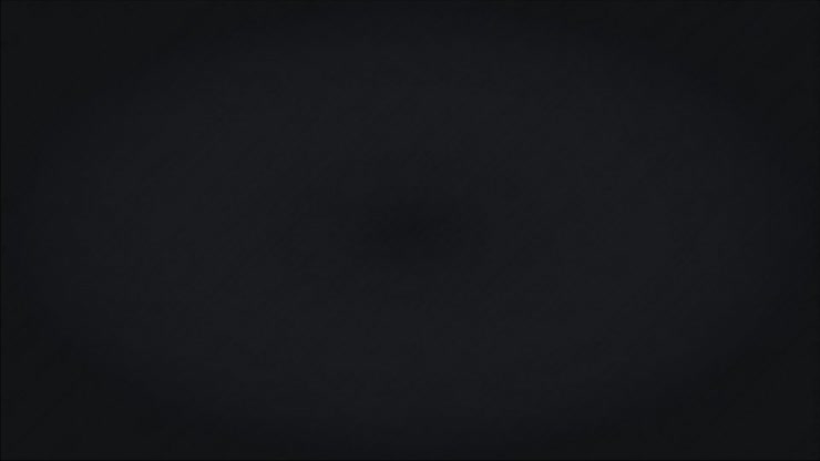 1320_DGL_inhomogen_1